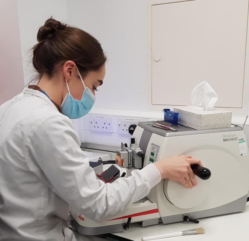 Routine histological methods - Commercial Services at Newcastle Hospitals